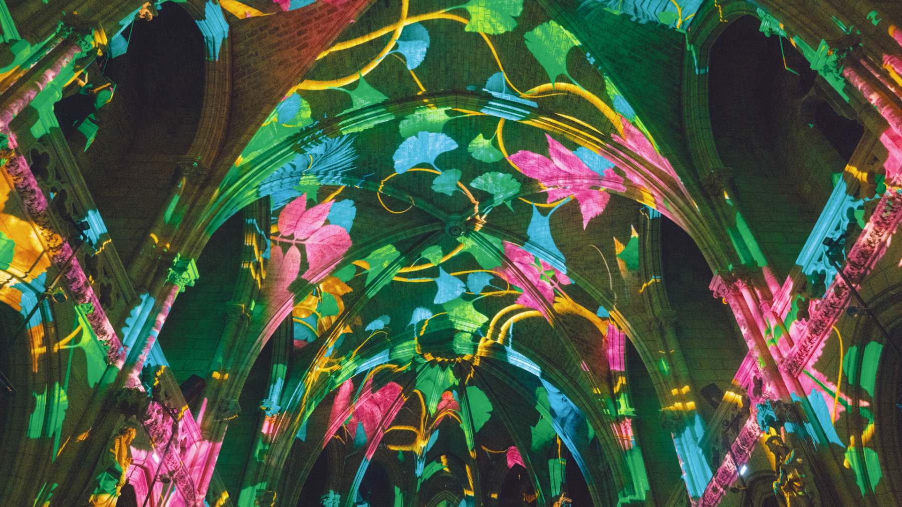 Genesis at Temple Ohabei Shalom Boston: Immersive light show